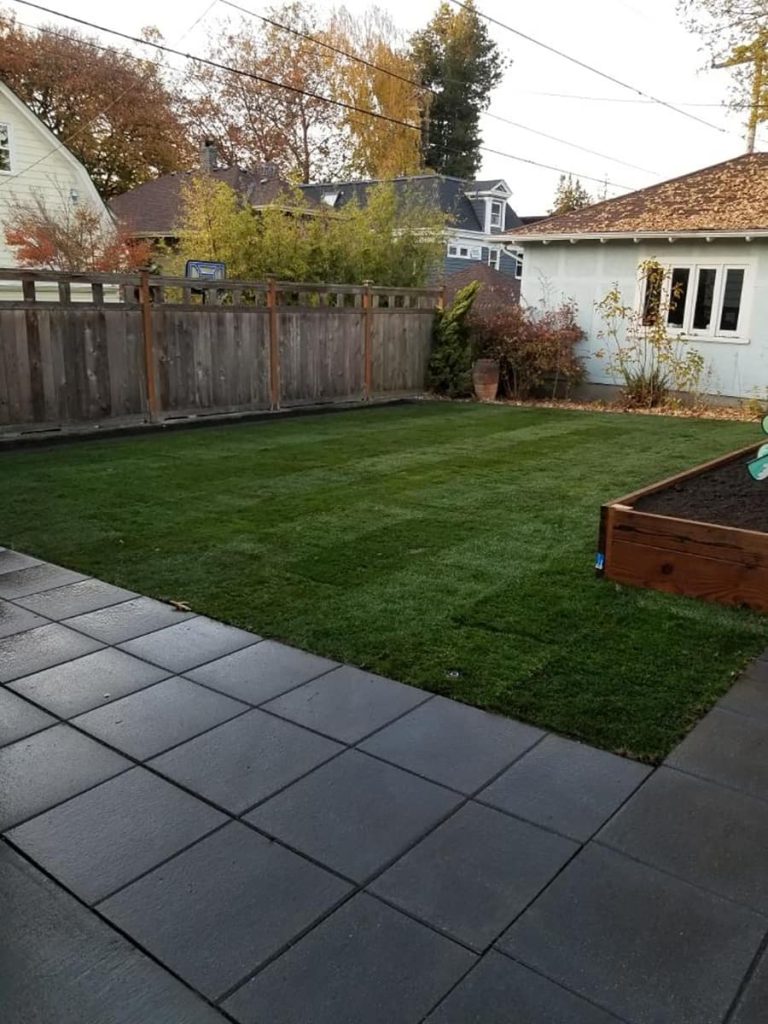 Lee's General Landscaping and Yard Clean-Up: The Top Choice for ...