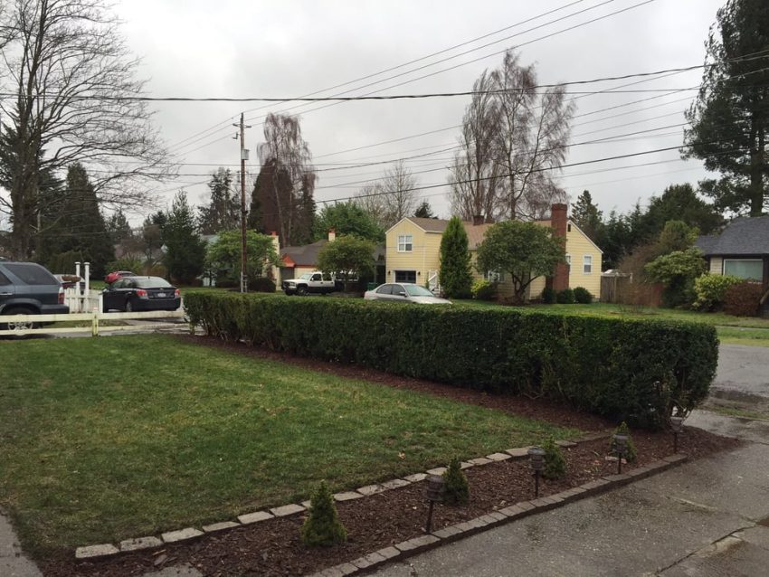 Refresh Your Seattle Yard with Lee’s General Landscaping: Melissa W.’s ...