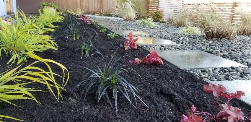 Elegant Front Yard Transformation in Seattle: A. M.’s Experience with ...