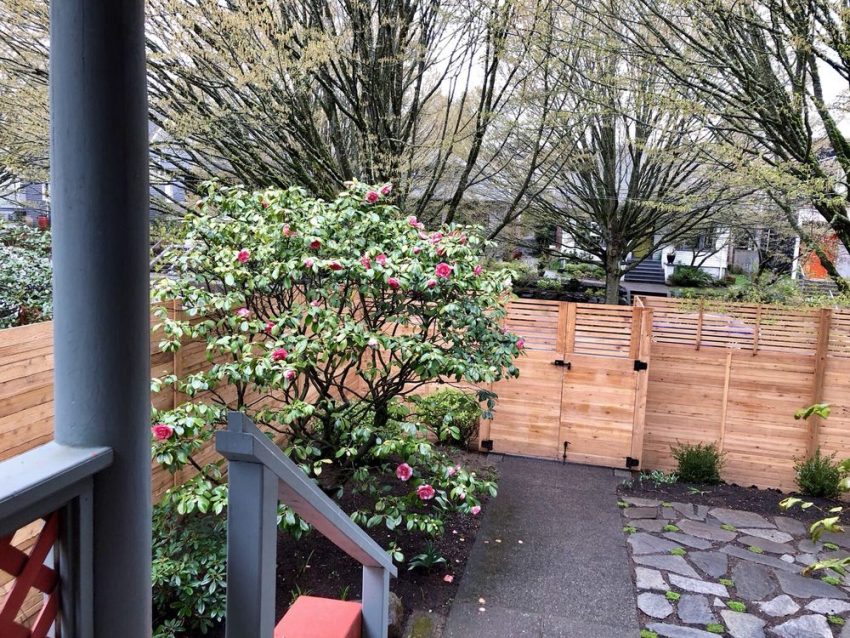 Lee's General Landscaping: Seattle’s Trusted Choice for Exceptional ...